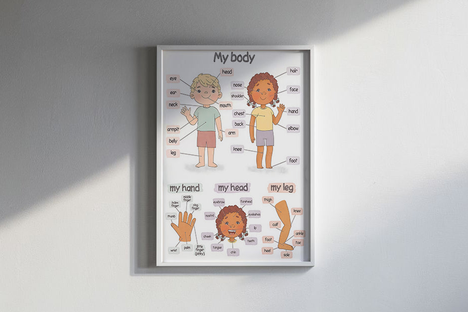 My Body: A Learning Poster – Kiddo Frames